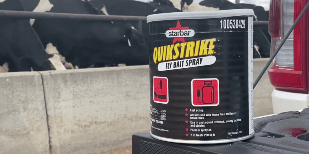 Quick Strike Fly Bait Official Website - Premium Fly Killers